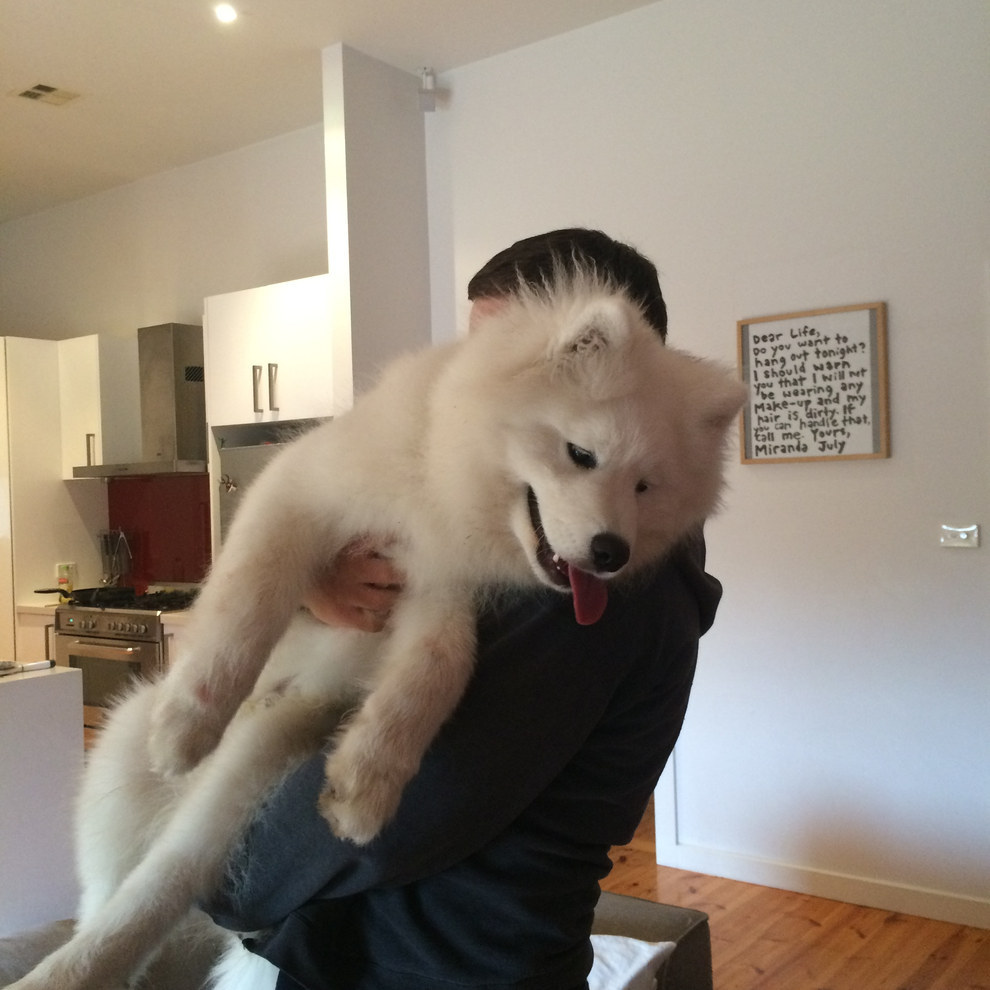 18 Dogs Who Are Better Than Your Boyfriend