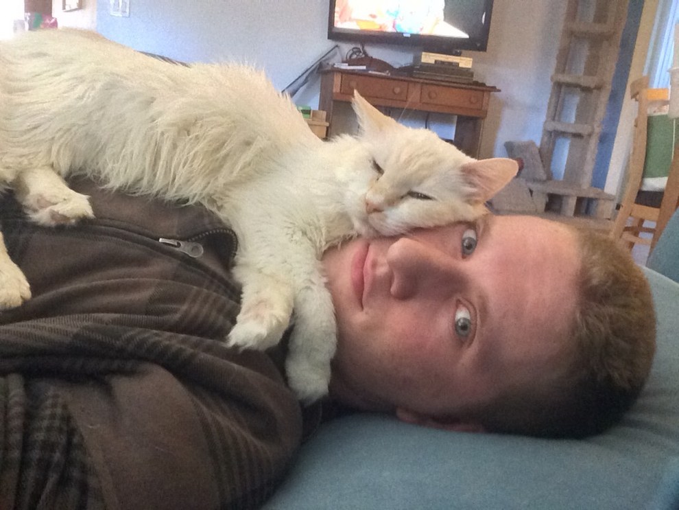 17 Extremely Helpful Cats