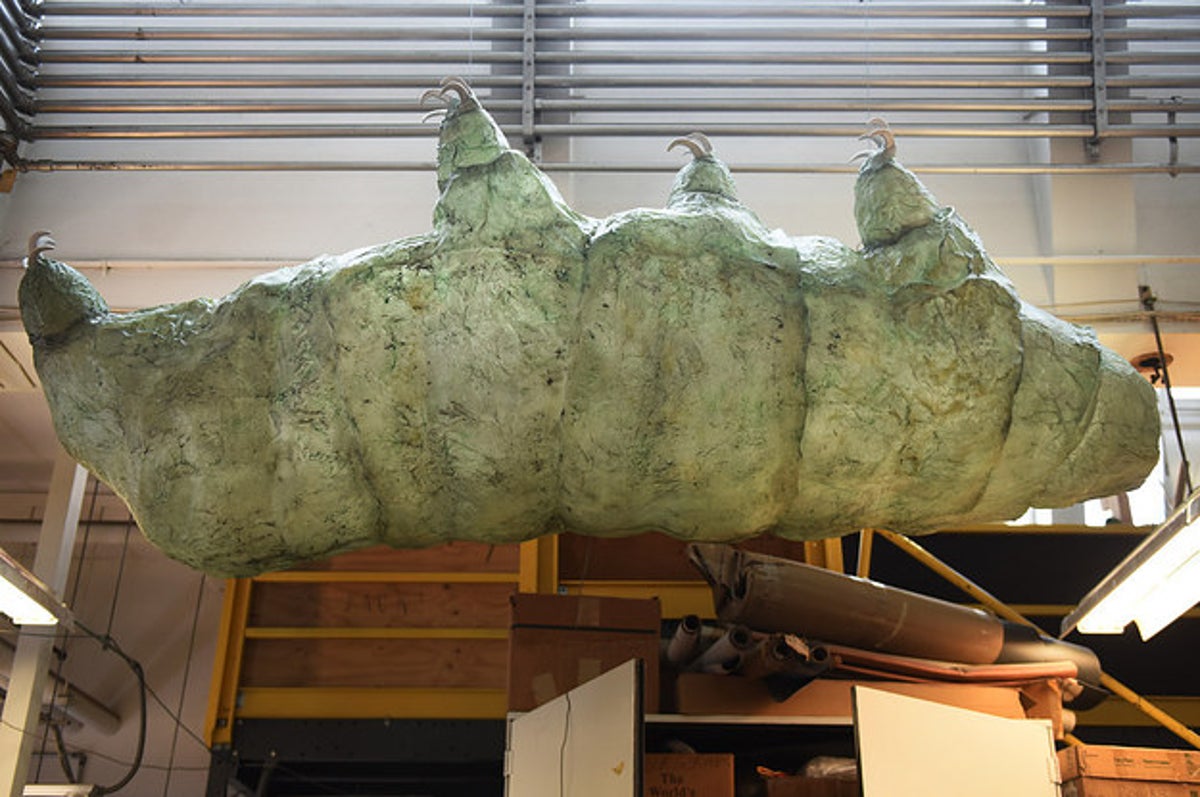 Meet The Giant Tardigrades From A New Exhibition About Amazing Animals