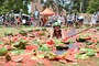 This Small Queensland Town Has A Melon Festival And It's Epic