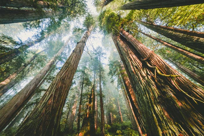 18 Stunning Photos That Prove Earth Isn't So Bad