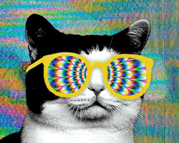 10 Psychedelic Cats Gif That Will Definitely Make You High