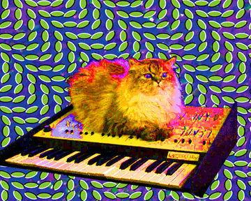 10 Psychedelic Cats Gif That Will Definitely Make You High