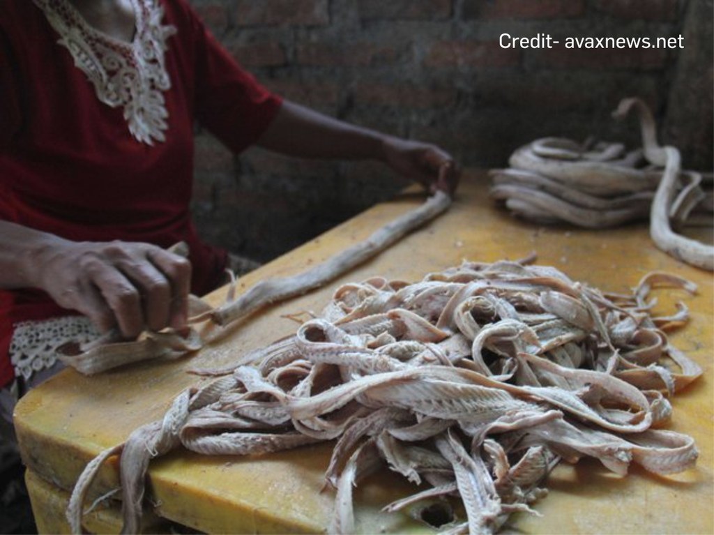 Puke Alert! 9 Groggy Foods That Can Actually Heal You?