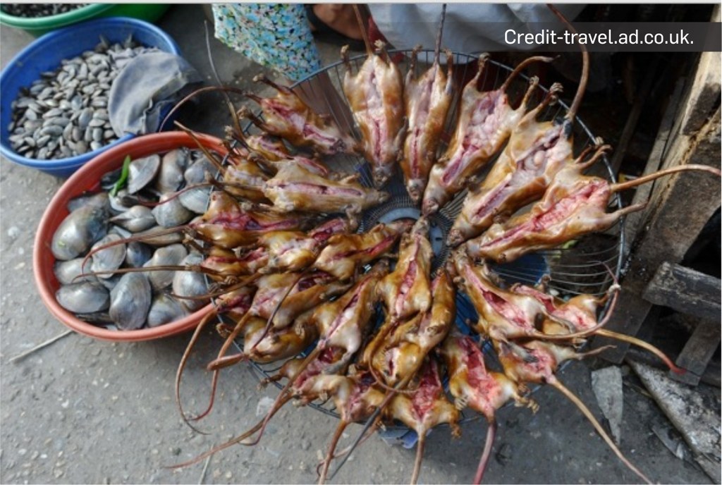 Puke Alert! 9 Groggy Foods That Can Actually Heal You?