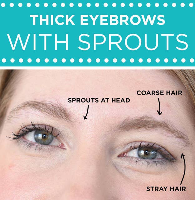 thick wiry eyebrows