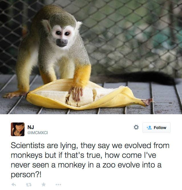 The Question On Every Creationist's Mind