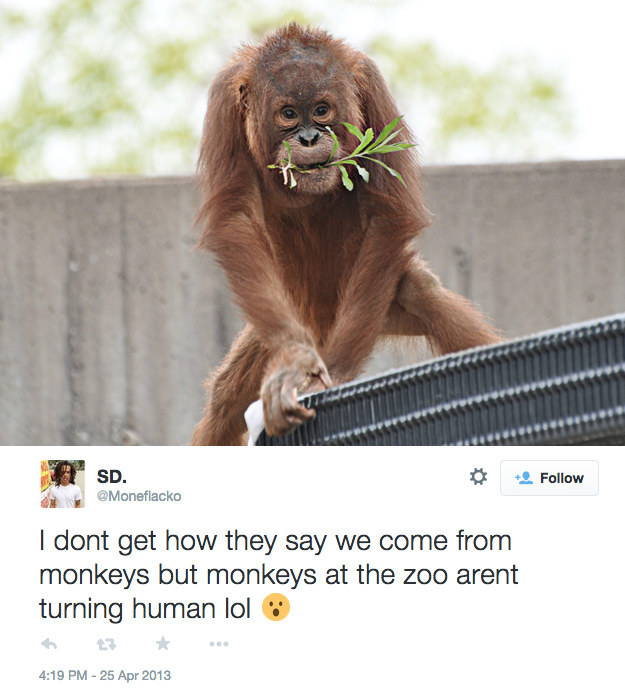 The Question On Every Creationist's Mind