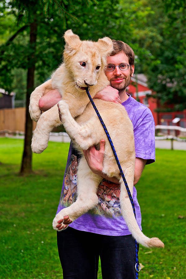 15 Cute And Courageous Animals