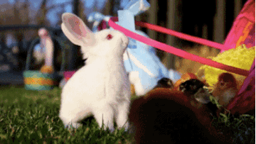 31 Unexpected Ways To Celebrate Easter With Kiddos
