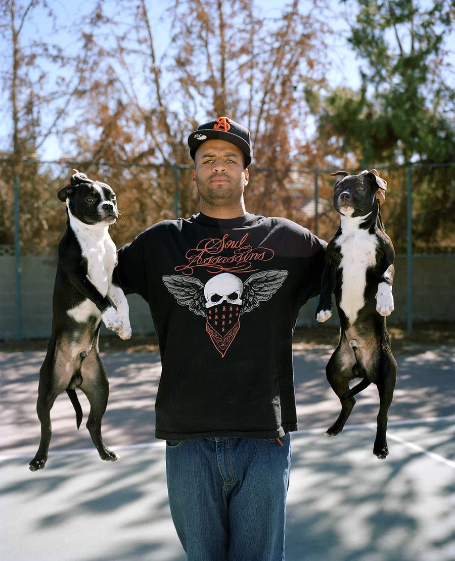 Does Scruffing Work On Dogs