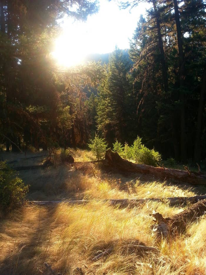Here's What "Spring" Looks Like Across Canada Right Now