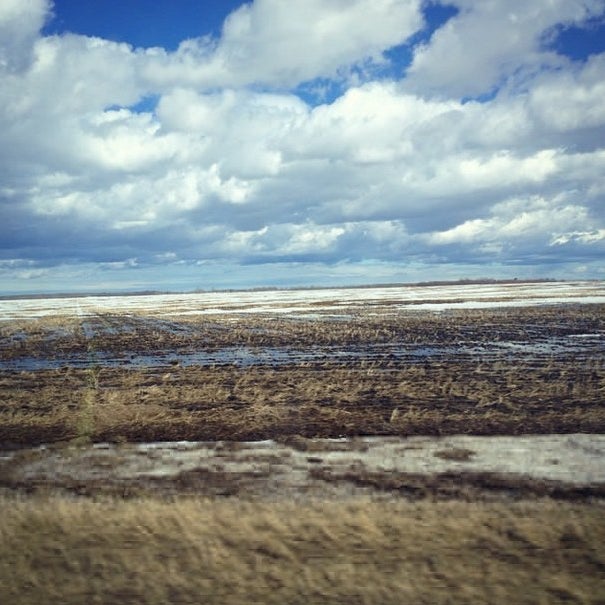 Here's What "Spring" Looks Like Across Canada Right Now