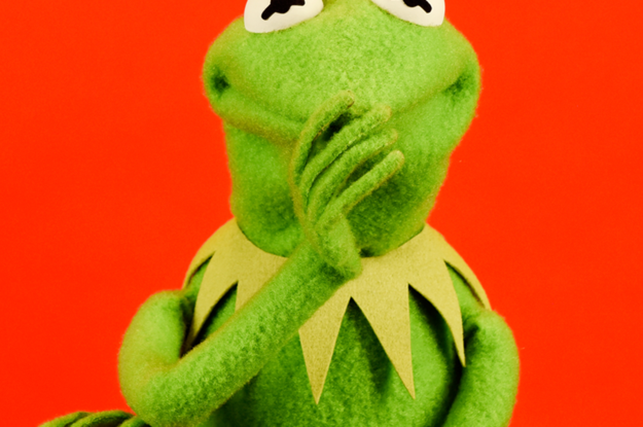 29 Burning Questions, Answered By Kermit The Frog