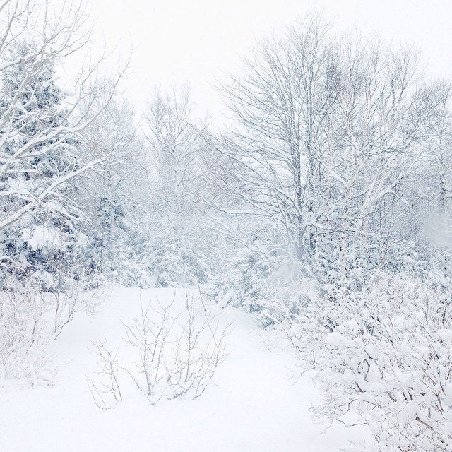 Here's What "Spring" Looks Like Across Canada Right Now
