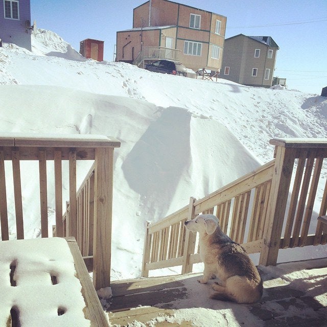 Here's What "Spring" Looks Like Across Canada Right Now