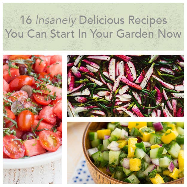 16 Insanely Delicious Recipes You Can Start In Your Garden Now