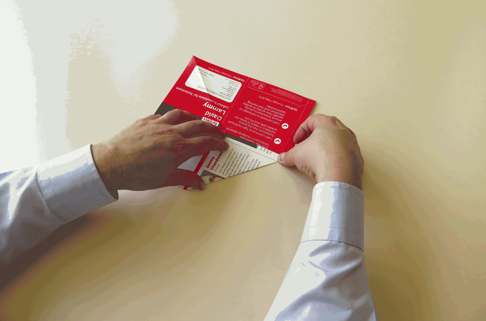 How To Make Origami Animals Out Of Boring Election Leaflets