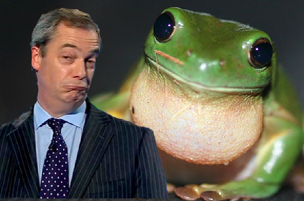 The People Have Spoken And Nigel Farage Looks Like A Shiny Frog