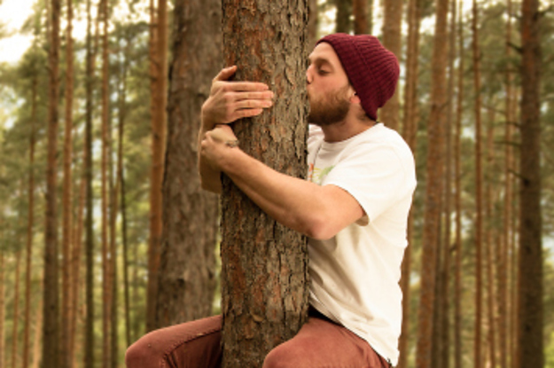 Is Your State Tree The Sexiest? #ArborDay