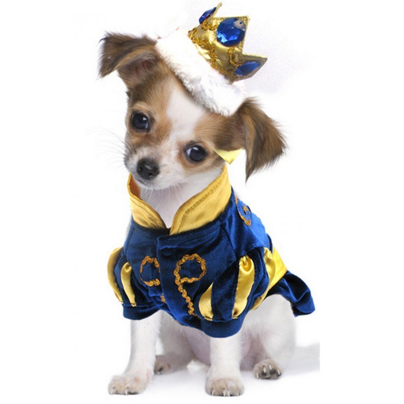 21 Dog Outfits You Won't Believe You Can Actually Buy