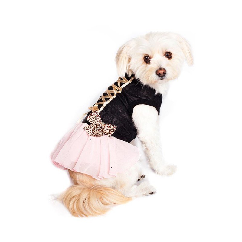 21 Dog Outfits You Won't Believe You Can Actually Buy