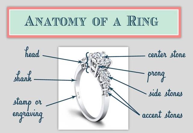 diagram ring