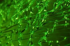 Joy Hamilton on BuzzFeed