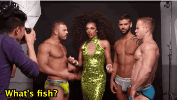 halleloo gif