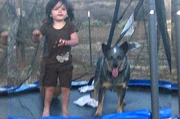 Their 3-Year-Old Girl Went Missing In The Woods. Now Watch What The ...