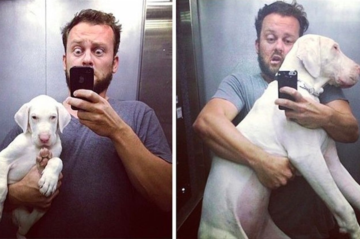 This Guy Didn’t Know How Long His Puppy Had To Live So He Filmed Her ...