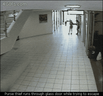 21 GIFs Of People Walking Into Things We'll Never Get Tired Of