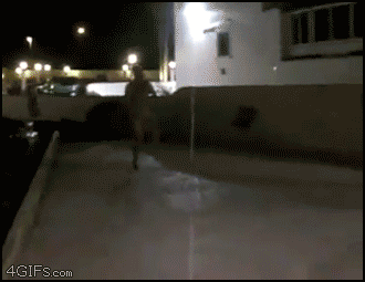21 GIFs Of People Walking Into Things We'll Never Get Tired Of