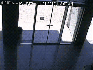 21 GIFs Of People Walking Into Things We'll Never Get Tired Of