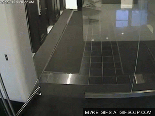 21 GIFs Of People Walking Into Things We'll Never Get Tired Of