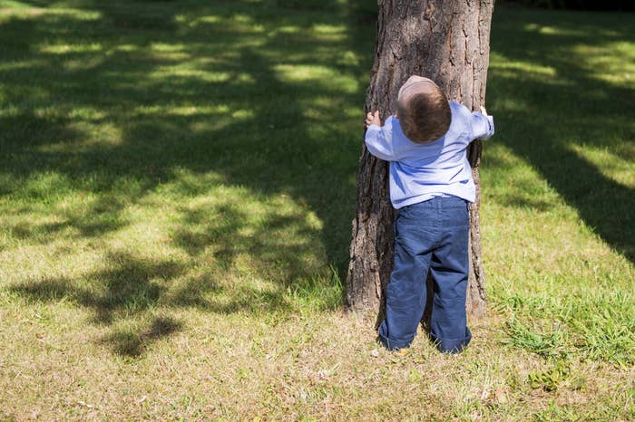 16 Trees Throwing Serious Shade