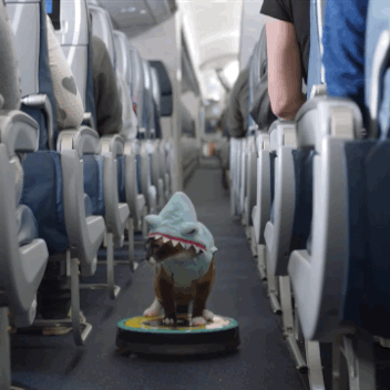 Delta Is Trolling Us With Its New Flight Safety Video