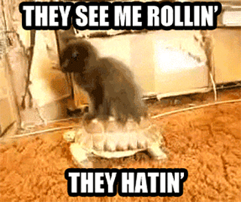 14 Cats That Are Dope As F*ck
