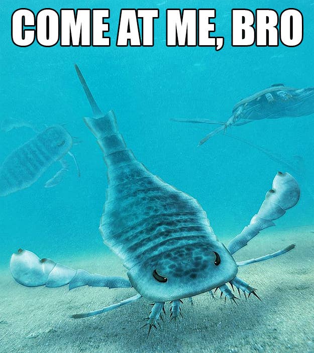 Prehistoric Creatures Represented As Memes Because Why Not?