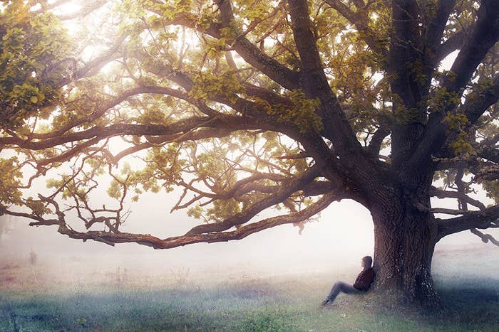 11 Views That Will Inspire You To Get Away From Your Desk