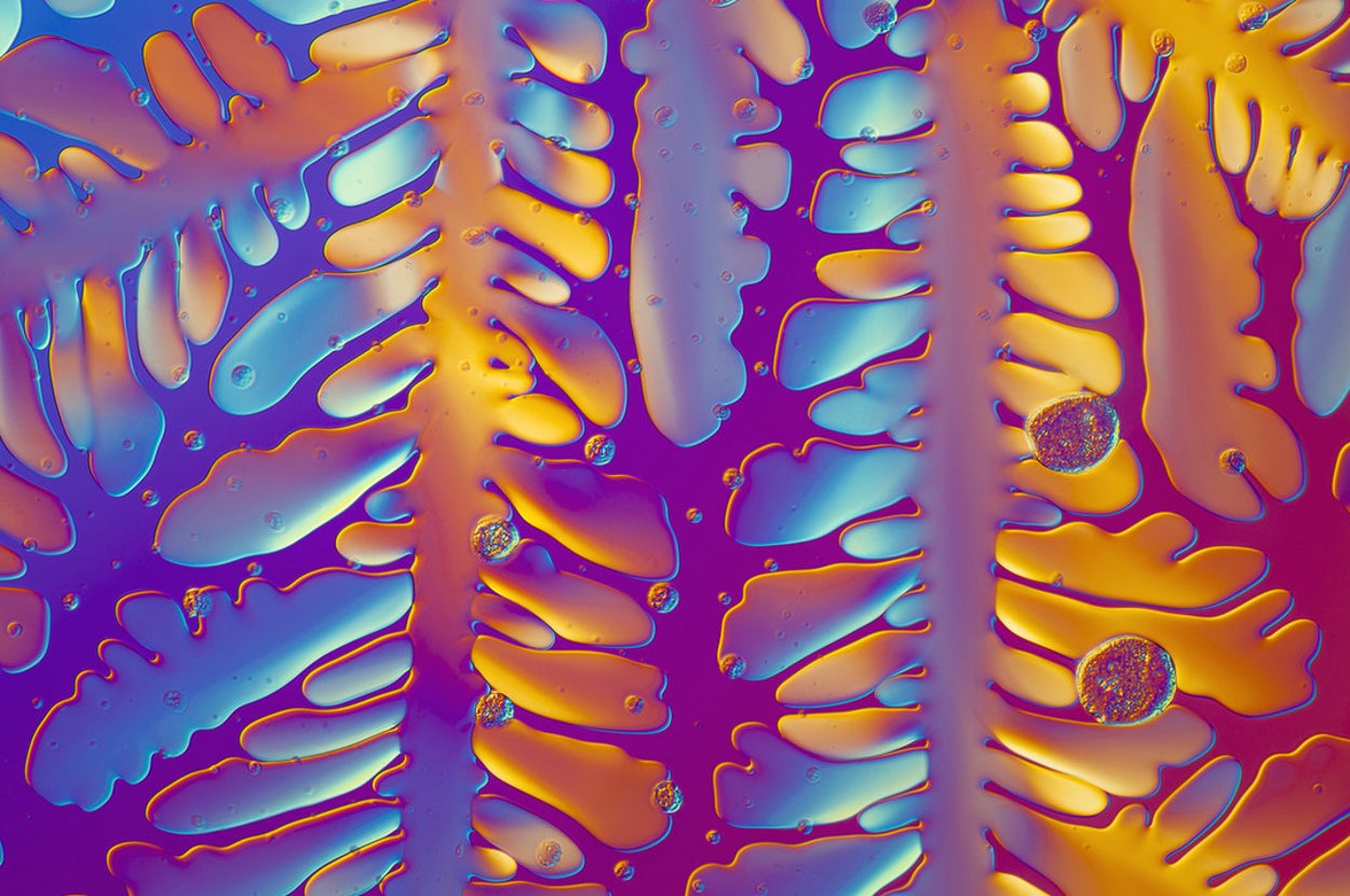 These Trippy Works Of Art Are Made From Actual Human DNA