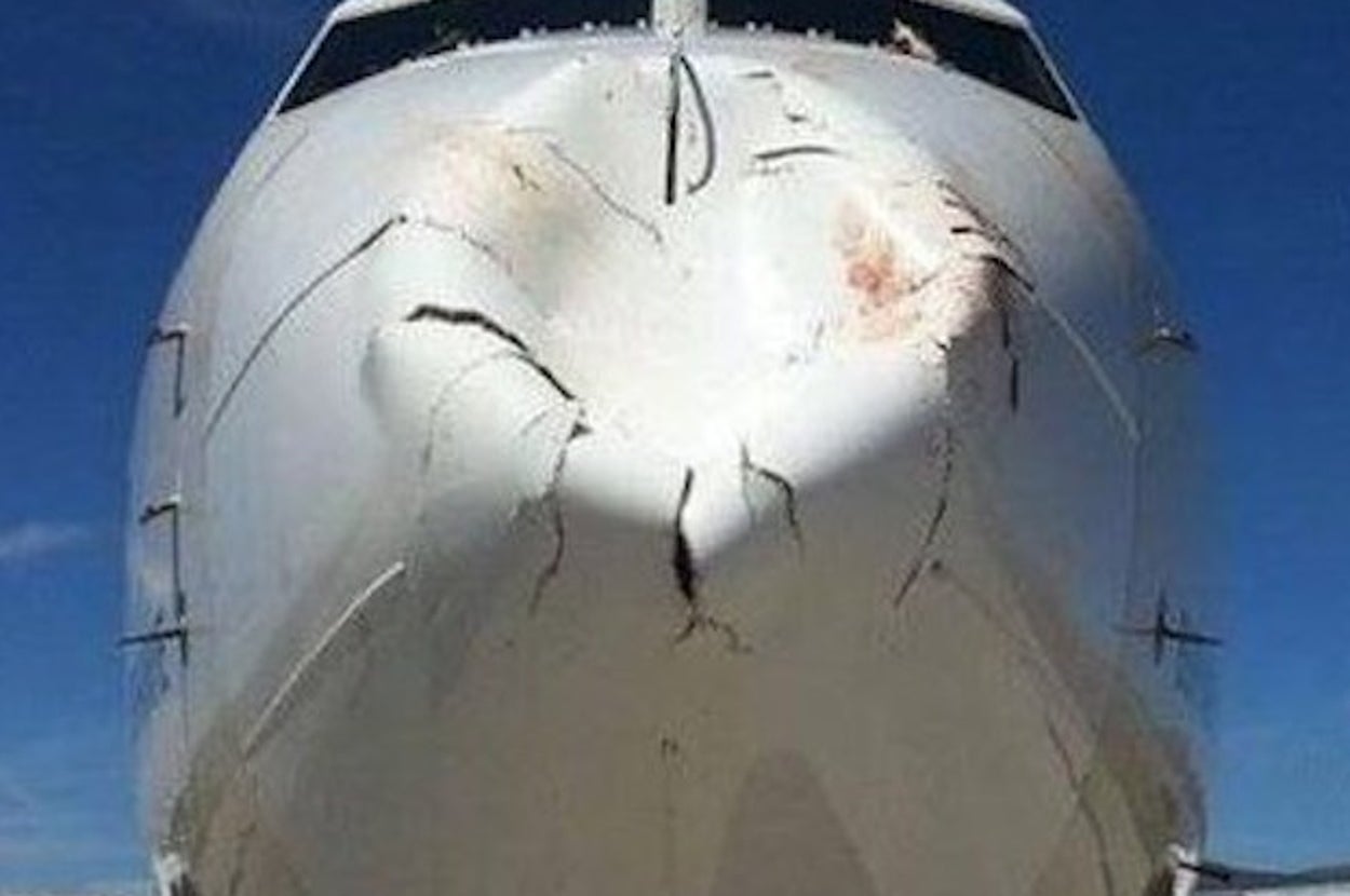 This Is What Happens When A Flock Of Birds Flies Into A Plane’s Nose