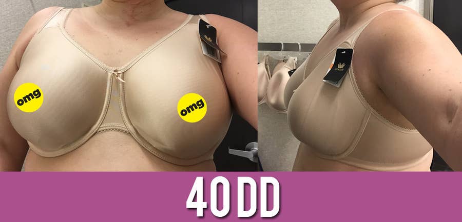 40dd bra size