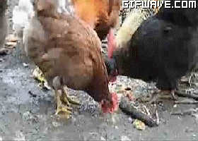 11 Types Of Surprises We've All Experienced