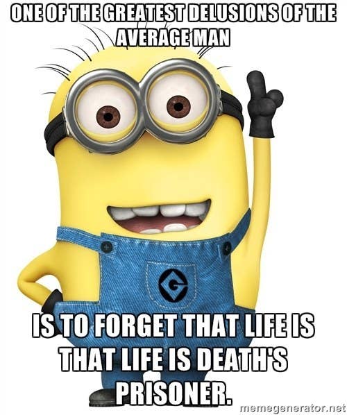 13 Things Minions Know About Despair