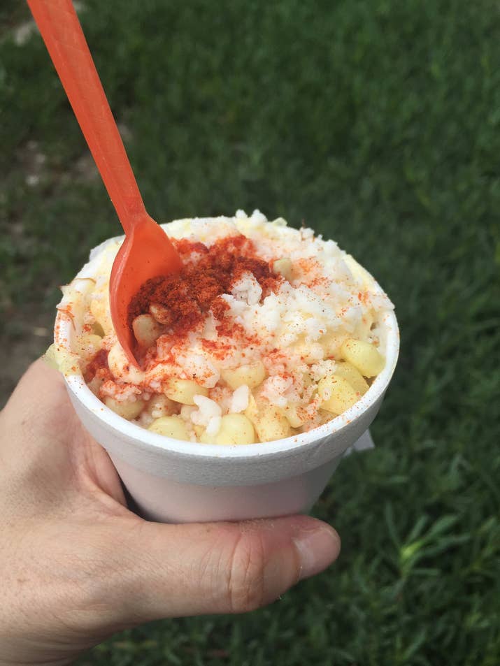 Platillos tipicos – Gastronomia Mexicana