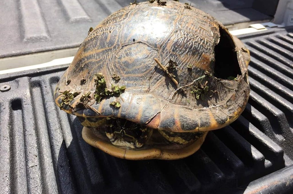 Can You Make It Through This Post Without Saying WTF?