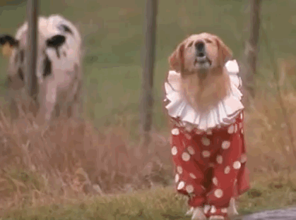 Why "Air Bud" Is The Most Important Sports Movie Of The '90s