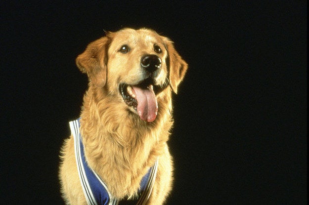 Why "Air Bud" Is The Most Important Sports Movie Of The '90s