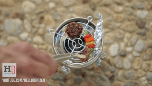These Adorable And Tiny Hamsters Host A Barbecue And It's Summer Goals